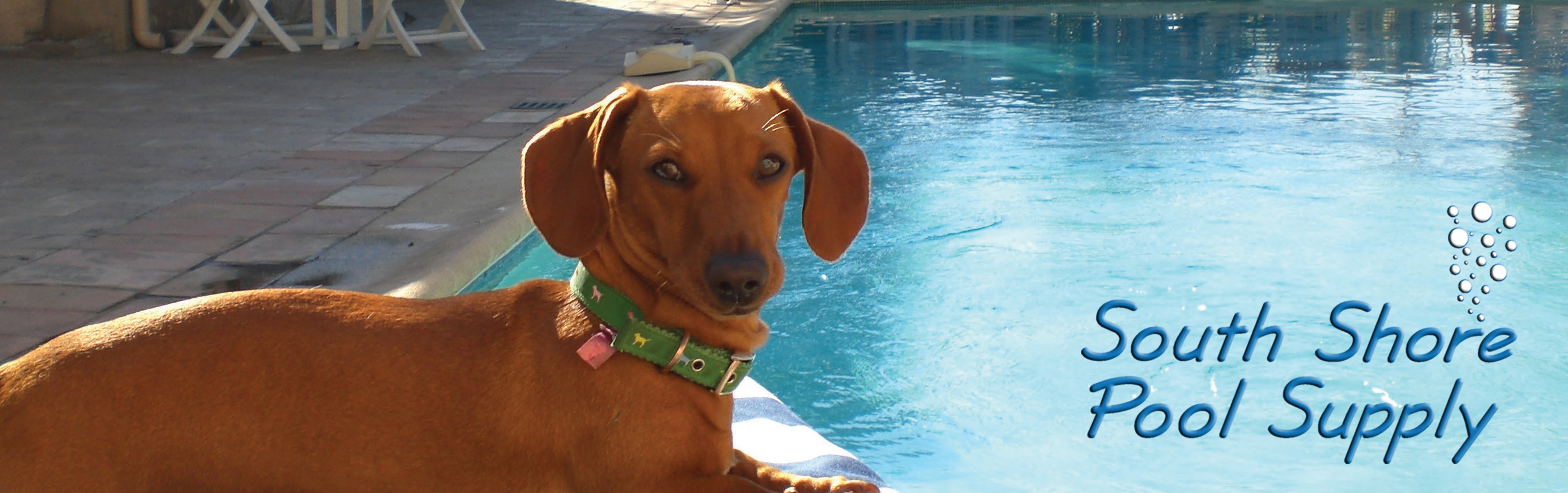 pool-pup_logo_blog-header – South Shore Pool Supply